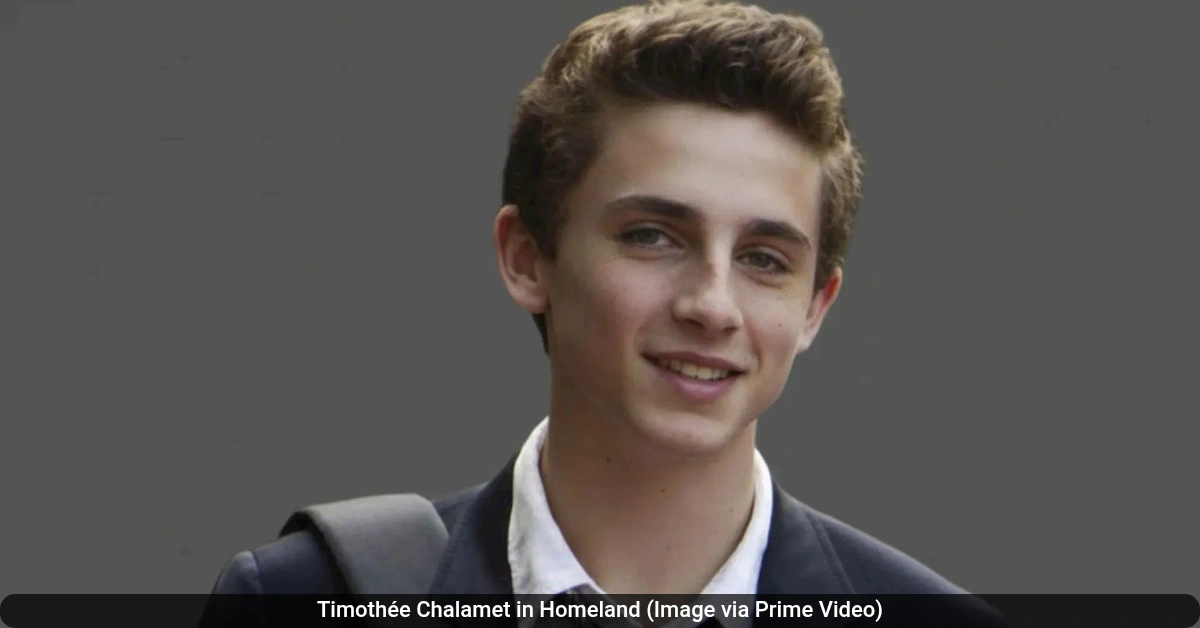 Timothée Chalamet In Homeland: His Early Role As Finn Walden Explained